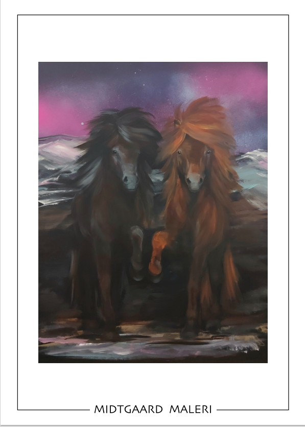 Poster 49 – Midtgaard Maleri